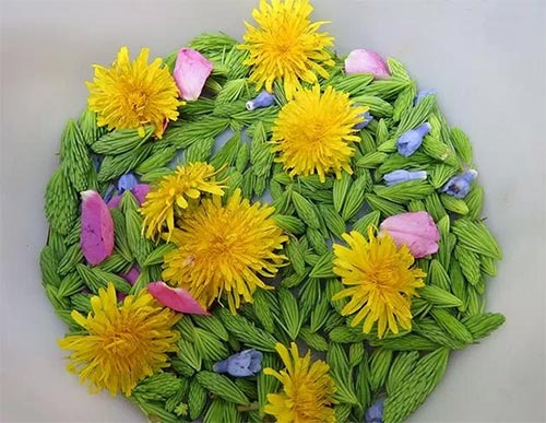 Nature's Candy | First We Eat